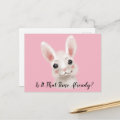Rabbit Greetings Postcard | Zazzle