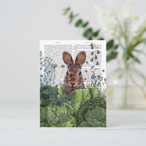 Rabbit in a Cabbage Patch Postcard | Zazzle