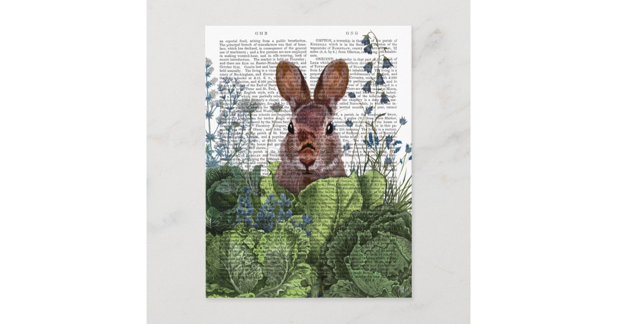 Rabbit in a Cabbage Patch Postcard | Zazzle