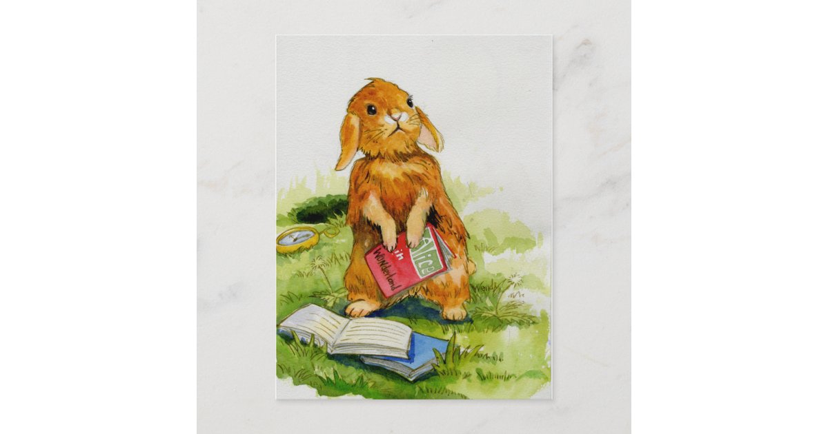 Rabbit loves to read Postcard | Zazzle