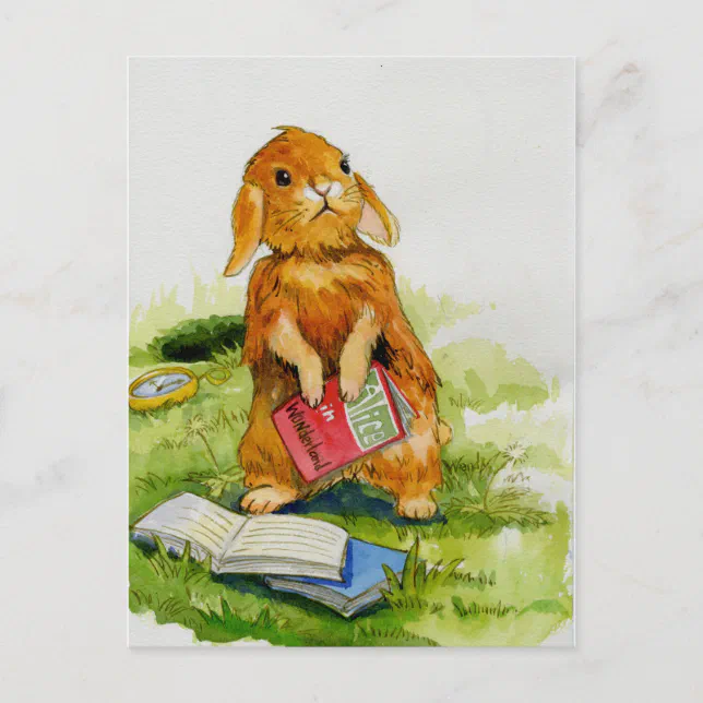 Rabbit loves to read Postcard | Zazzle
