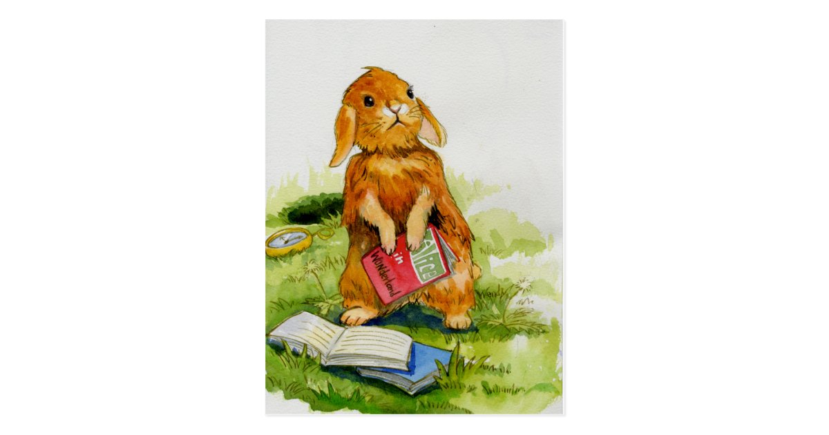 Rabbit loves to read Postcard | Zazzle.com