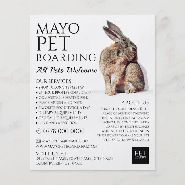 Rabbit Portrait, Pet Boarding Advertising Flyer | Zazzle