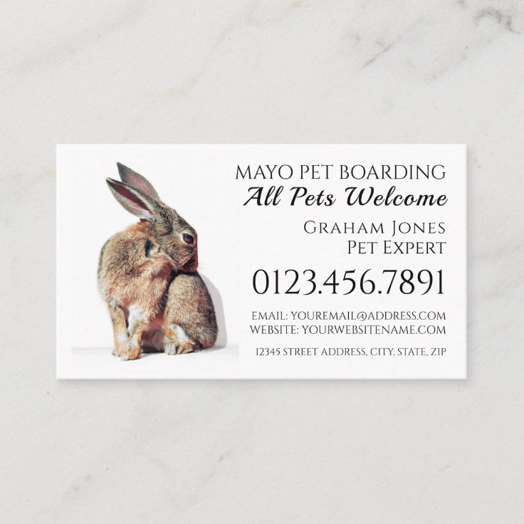 Rabbit Portrait, Pet Boarding Business Card | Zazzle