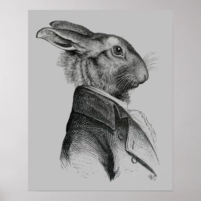 Rabbit Portrait Profile Poster | Zazzle