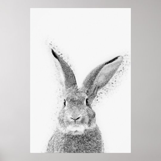Rabbit Poster | Zazzle.com