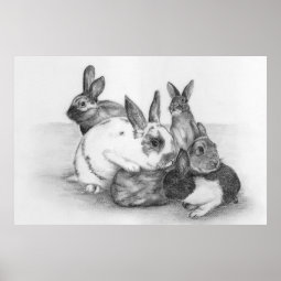 Rabbit Poster | Zazzle