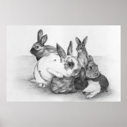 Rabbit Poster | Zazzle