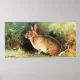 Rabbit Print | Zazzle