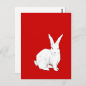 Rabbit red Postcard | Zazzle