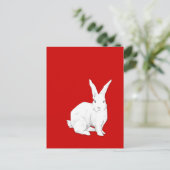 Rabbit red Postcard | Zazzle