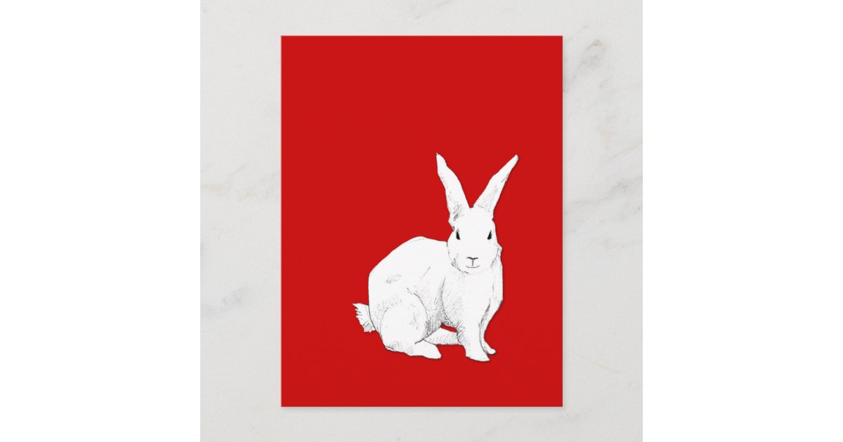 Rabbit red Postcard | Zazzle