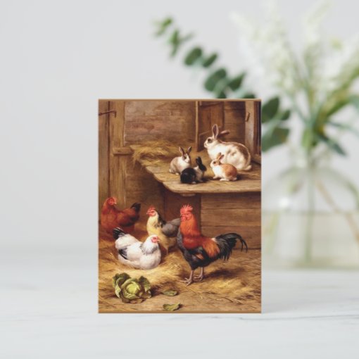 Rabbit rooster hens farm animals bunnies postcard | Zazzle