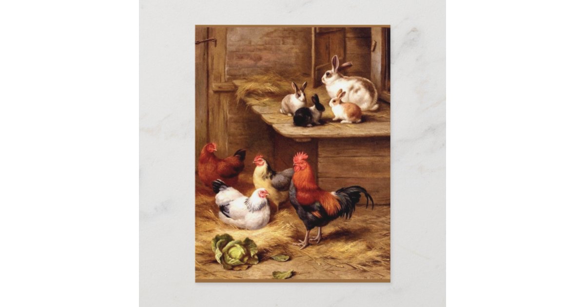 Rabbit rooster hens farm animals bunnies postcard | Zazzle