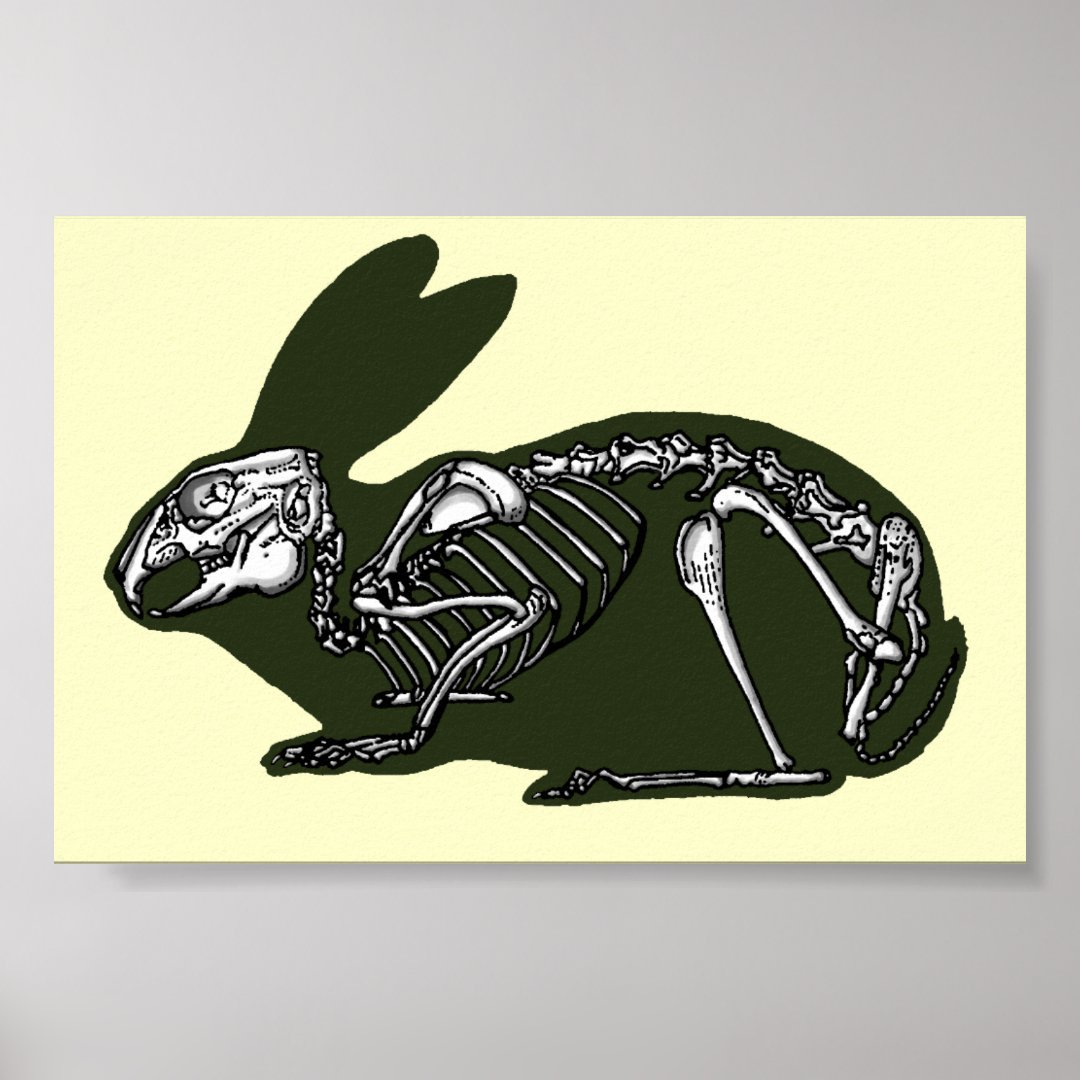 rabbit skeleton poster | Zazzle