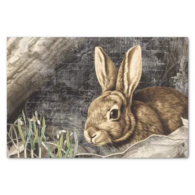 Rabbit Snowdrop Flowers Spring French Script Craft Tissue Paper | Zazzle