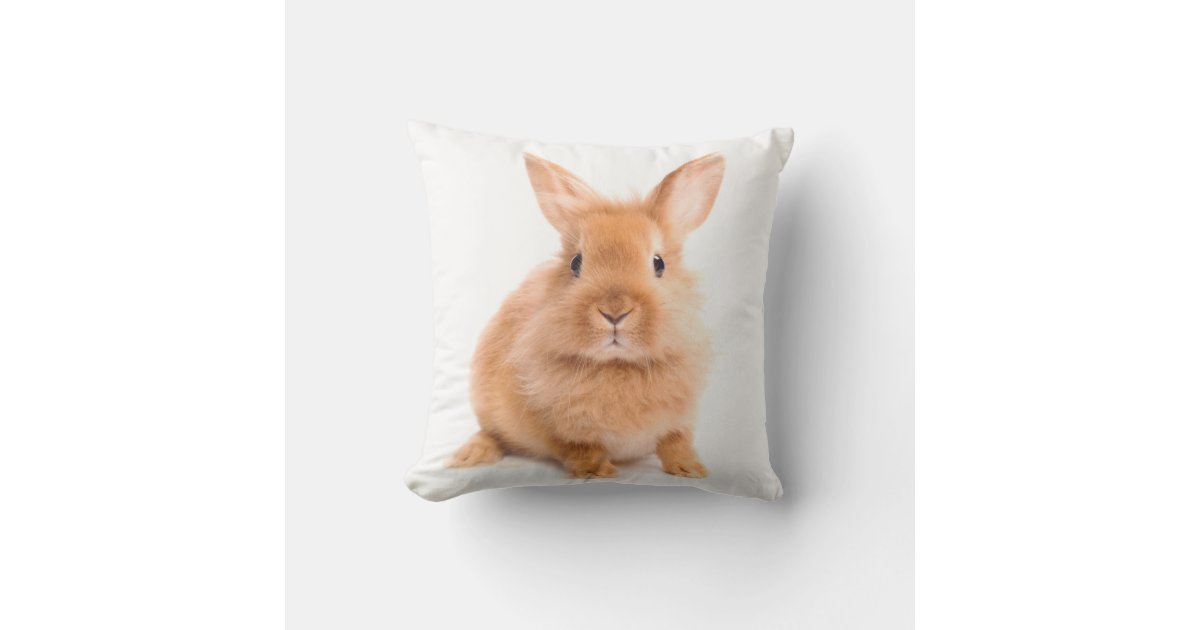 Rabbit Throw Pillow | Zazzle