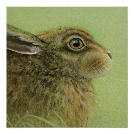 Rabbit wildlife fine art painting poster | Zazzle.com