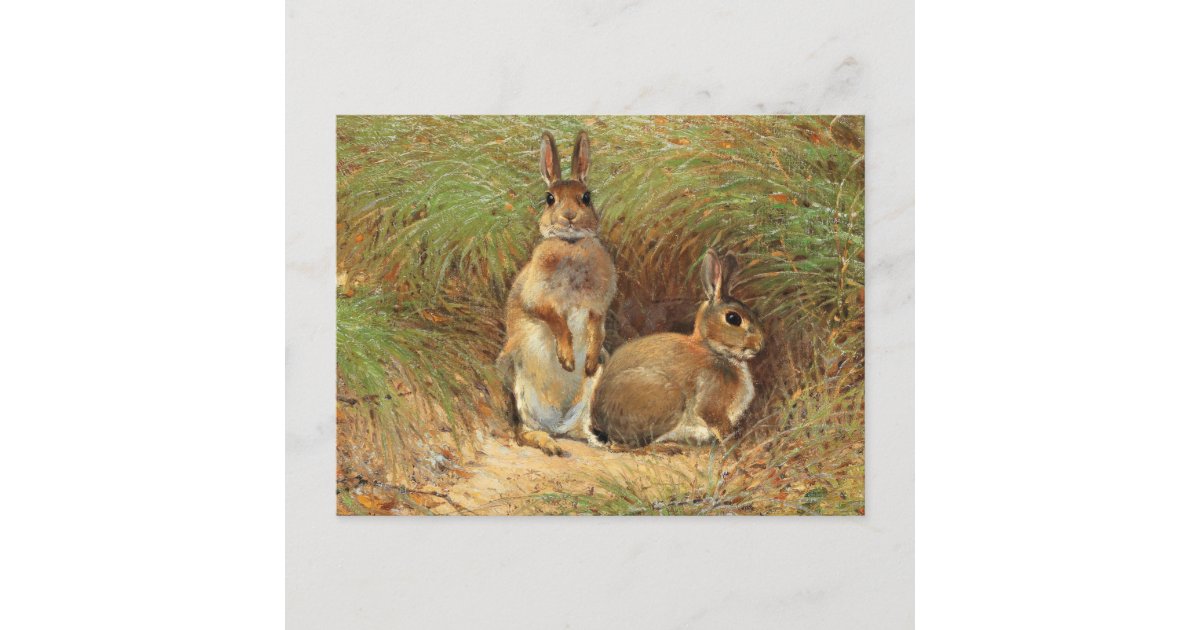 Rabbits by Victor Stoetzner-Lund Postcard | Zazzle