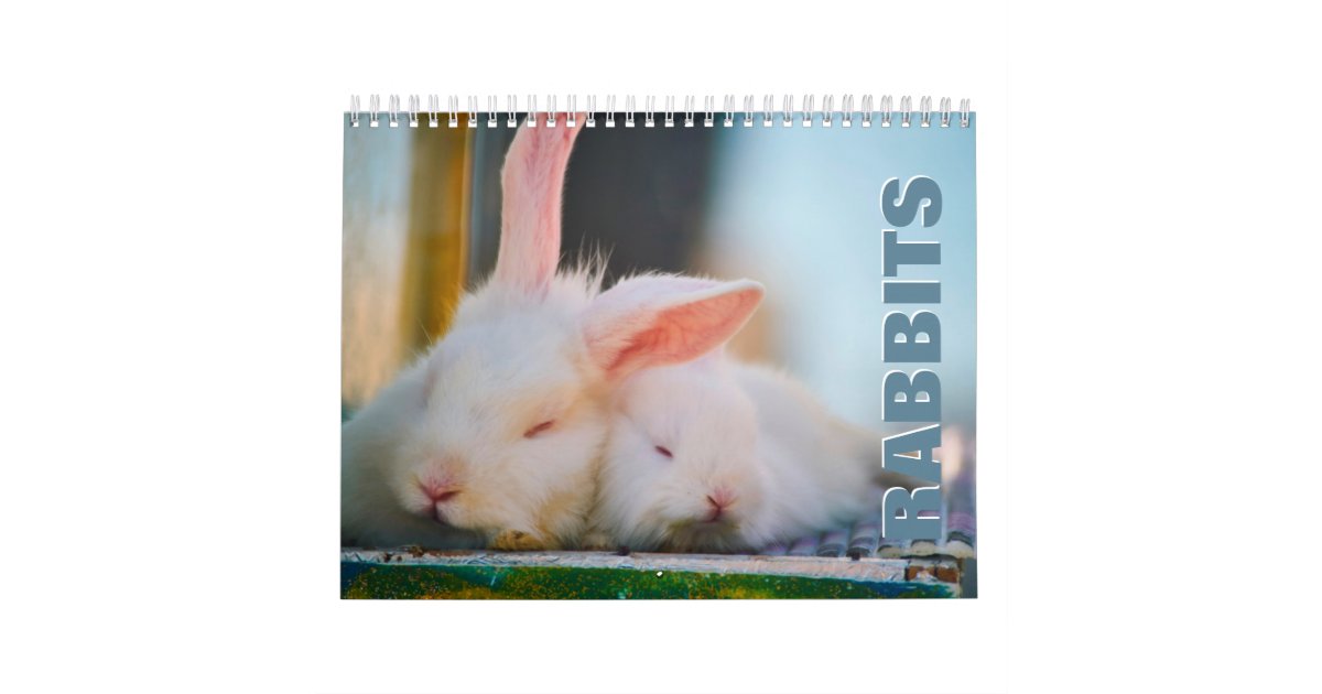 Rabbits Wall Calendar | Zazzle