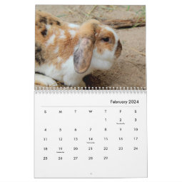 Rabbits Wall Calendar | Zazzle