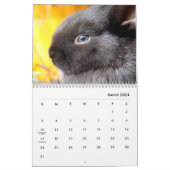 Rabbits Wall Calendar | Zazzle
