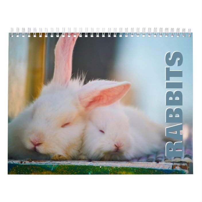 Rabbits Wall Calendar | Zazzle.com