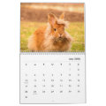 Rabbits Wall Calendar | Zazzle