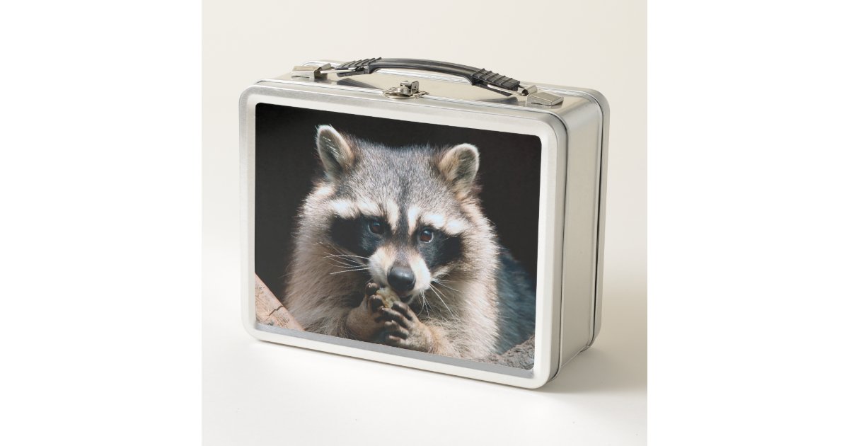 Raccoon 004 metal lunch box | Zazzle