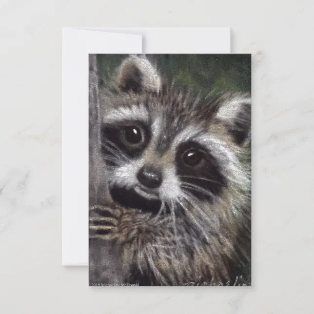 Raccoon Cards | Zazzle