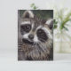 Raccoon Cards | Zazzle
