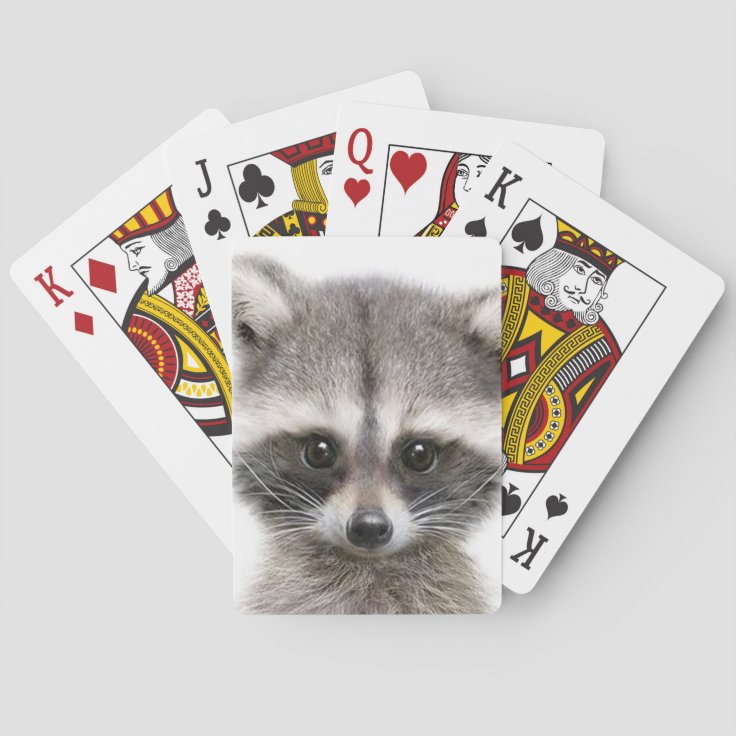Raccoon drawing figure on Playing Cards | Zazzle