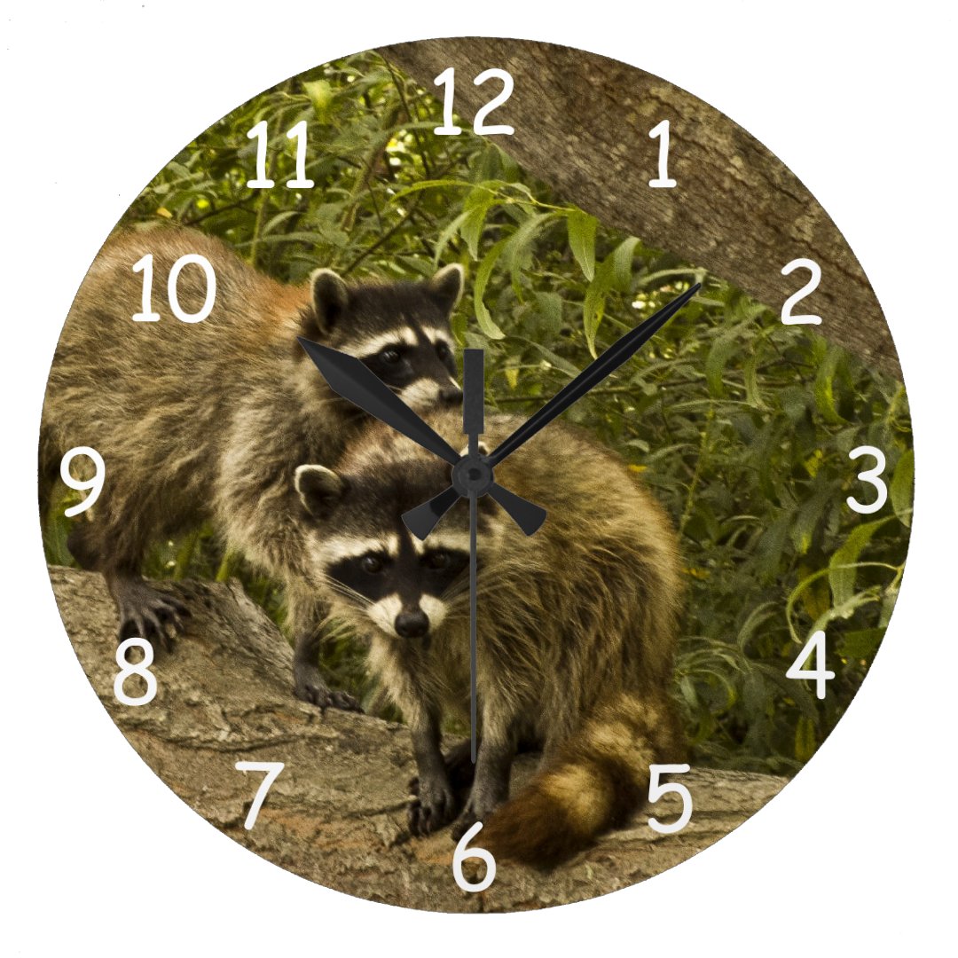 Raccoon Family Large Clock | Zazzle