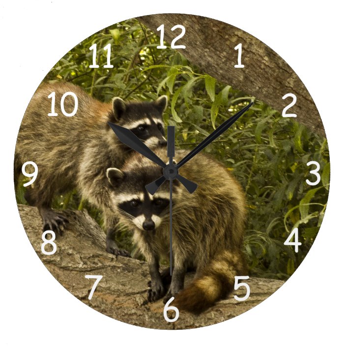 Raccoon Family Large Clock | Zazzle.com