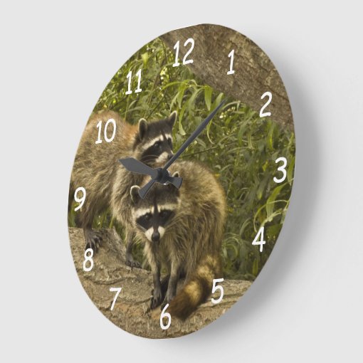 Raccoon Family Large Clock | Zazzle