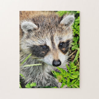 Raccoon Gifts on Zazzle
