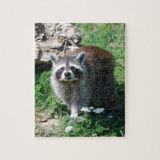 Raccoon Jigsaw Puzzles | Zazzle