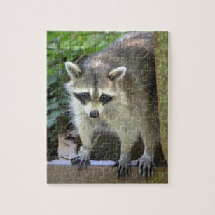 Raccoon Jigsaw Puzzles | Zazzle