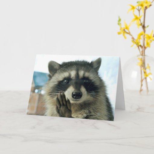 Raccoon - just to say hi - greeting card | Zazzle