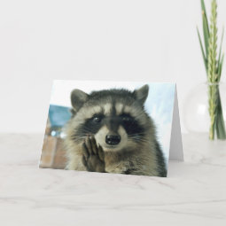 Raccoon - just to say hi - greeting card | Zazzle
