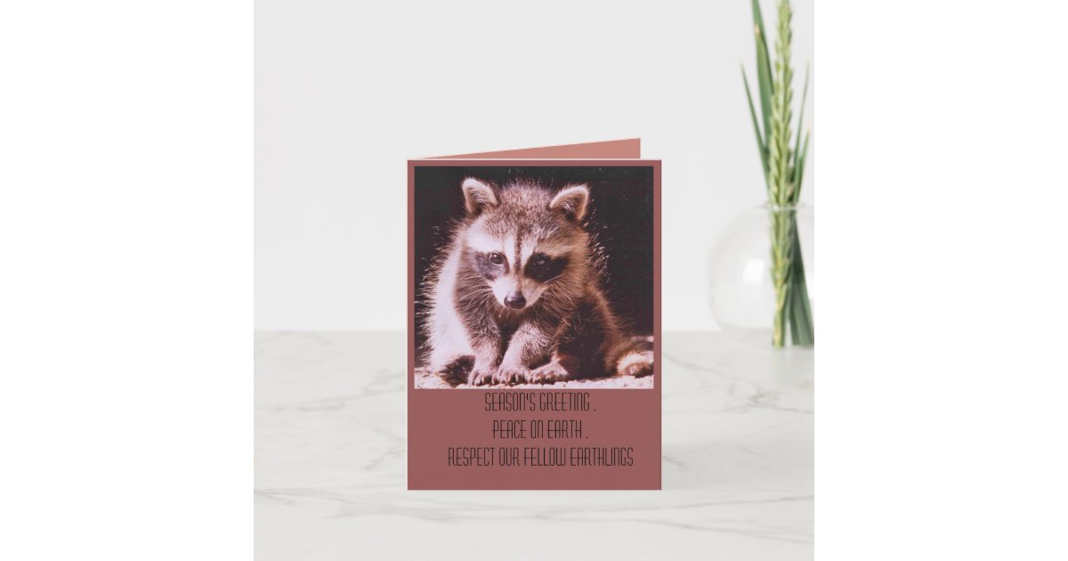 Raccoon Kit Christmas Greetings Holiday Card | Zazzle