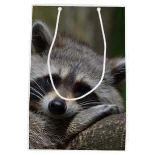 Raccoon Gifts on Zazzle