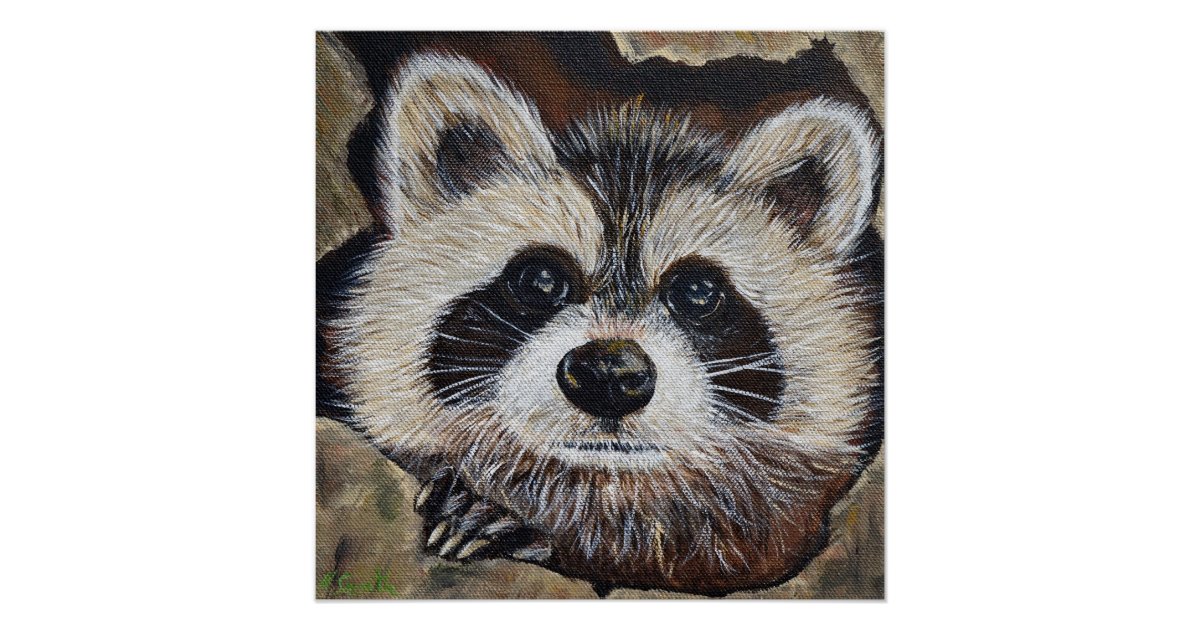 Raccoon Painting Poster | Zazzle