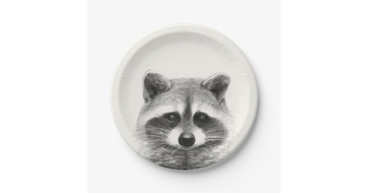 Raccoon Pencil Drawing Paper Plates | Zazzle