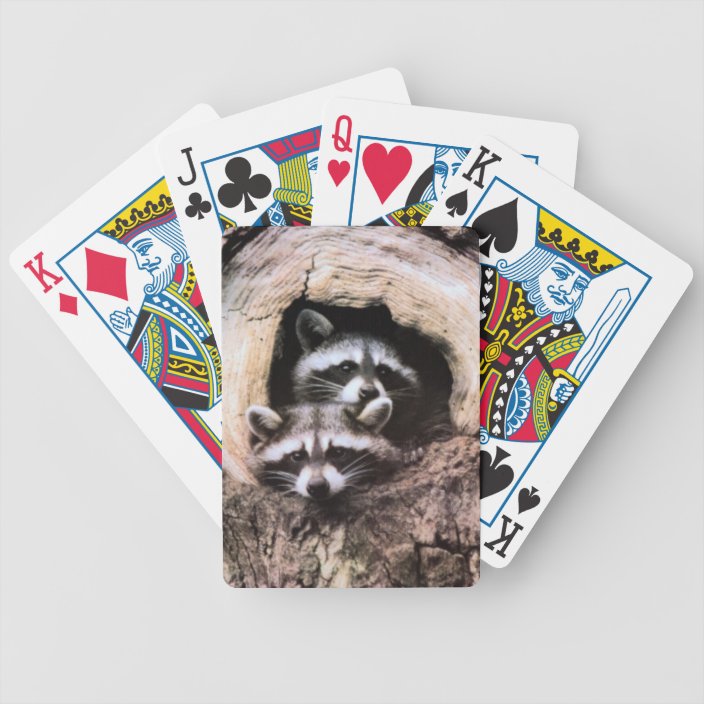 Raccoon Playing Cards | Zazzle.com
