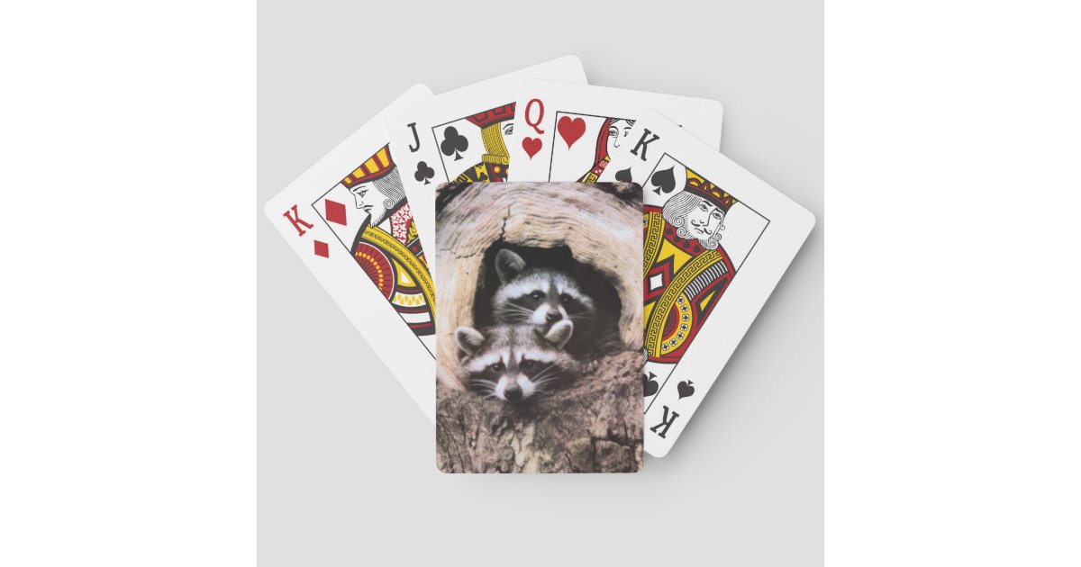 Raccoon Playing Cards | Zazzle