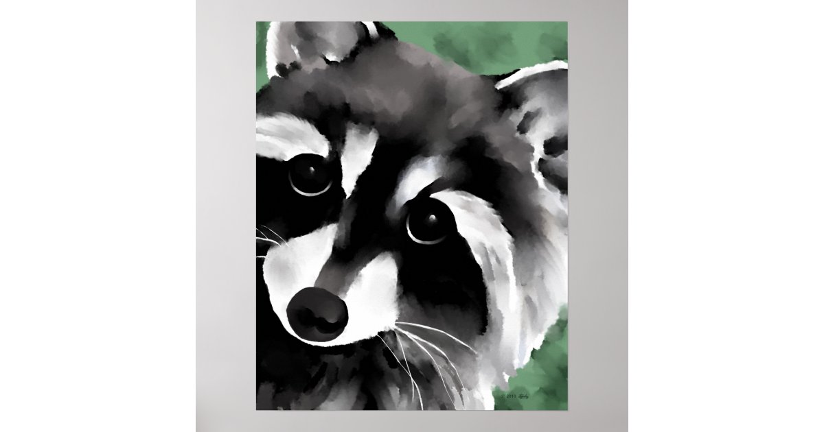 Raccoon Poster Art Print | Zazzle