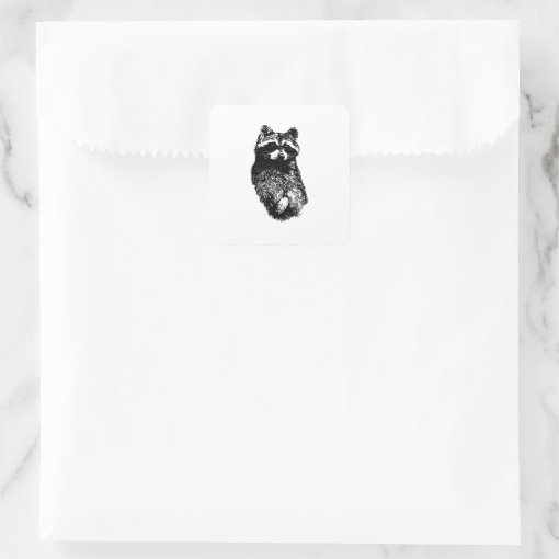 Raccoon Square Sticker | Zazzle