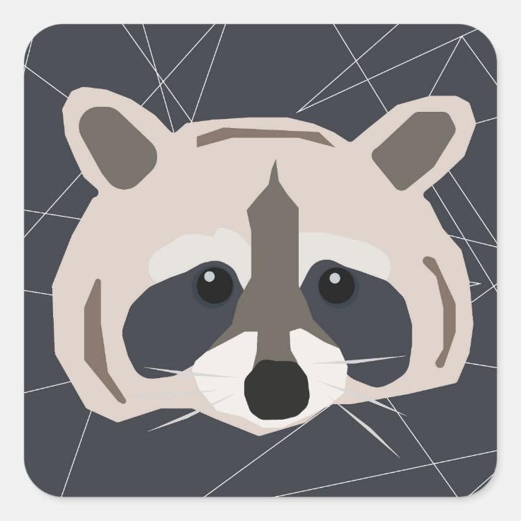 Raccoon stickers | Zazzle