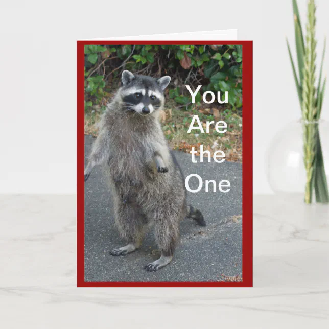 Raccoon Valentine Card | Zazzle